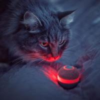 China Smart Induction Pet Chasing Toy Silicone Interactive Indoor Home Cat Play Toys for sale