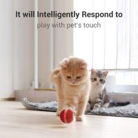 China Smart Induction Pet Chasing Toy Silicone Interactive Indoor Home Cat Play Toys for sale