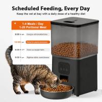 China Smart Pet Food Dispenser 6L Automatic Dog And Cat Feeder With WIFI Timing Function for sale