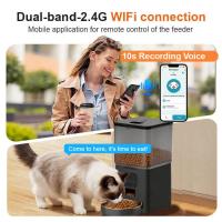 China Smart Pet Food Dispenser 6L Automatic Dog And Cat Feeder With WIFI Timing Function for sale
