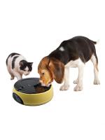 China Automatic Pet Feeder with LCD Display 6 Meal Timer for Dogs Cats Dry Wet Food 32cm for sale