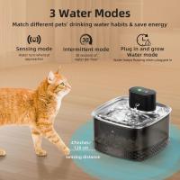 China 2L Automatic Cat Water Fountain Sensor Dispensing Ultra Quiet 25dB Pet Drinking Fountain for sale