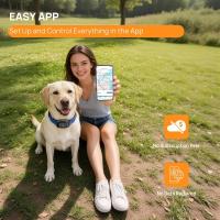 China App Controlled GPS Dog Fence System Rechargeable Wireless Pet Collar 600m Range for sale