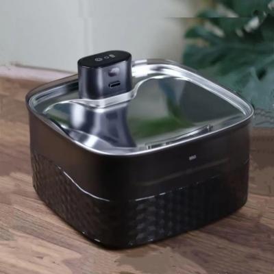 China 2L Wireless Pet Water Dispenser Multi Filter Smart Automatic Cat Water Fountain for sale