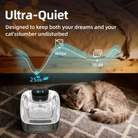 China 2L Wireless Pet Water Dispenser Multi Filter Smart Automatic Cat Water Fountain for sale