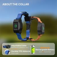 China Wireless GPS Smart Dog Collar Fence IP67 Waterproof Rechargeable Training Collar 600g for sale