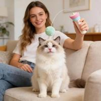China Automatic Electronic Cat Teaser Toy Retractable ABS Wand With Motorized Lure for sale