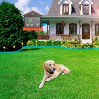 China 200m Wired Electric Dog Fence 5 Level Static Shock Collar System for 2 Dogs 0.78 Acre for sale