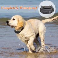 China 300 Meters Remote Dog Training Collar Waterproof Rechargeable With LED Display for sale