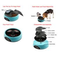 China Automatic Pet Feeder 4 Trays Programmable Timer 475ml Capacity CE RoHS for sale