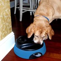 China 4 Meal Smart Automatic Pet Feeder Dog  Food Dispenser Timed Cat Food Feeder for sale