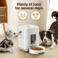 China 2L Automatic Pet Feeder Smart WiFi Remote Control Cat Dog Bowl with Lid Lock Anti Dropping for sale