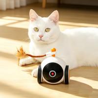 China Automatic Rolling Smart Cat Toy Ball 360 Rotation Interactive Electric Remote Control Car for sale