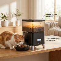 China 2L Elevated Automatic Pet Feeder Button Control Dual Power Timed Portion Dog Cat Food Dispenser for sale