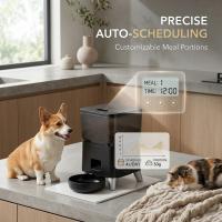 China 2L Elevated Automatic Pet Feeder Button Control Dual Power Timed Portion Dog Cat Food Dispenser for sale