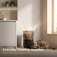 China 4L Automatic Pet Feeder Button Control Anti Jam Dispenser 304 Stainless Steel Bowl for Small Medium Cats Dogs for sale