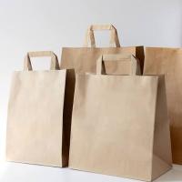 China Recyclable Brown Plain Paper Carry Bag Biodegradable Kagaj Tote Bag for sale