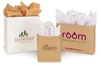 China Foldable Retail Shopping Bags Custom Printed Paper Carrier Bags For Skincare Product for sale
