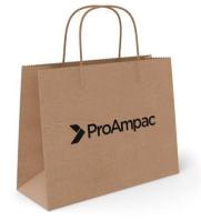 China Personalized Foldable Paper Packaging Bag Lightweight Eco Friendly for sale