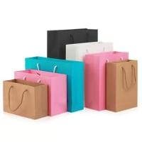China ODM Small Kraft Paper Gift Bags 350gsm For Events And Retail for sale