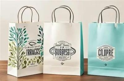 China Custom Printed Specialty Paper Bags Retail Packaging With Handles 80-150GSM for sale