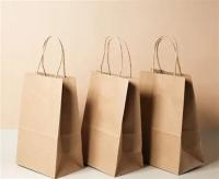China Eco Friendly Brown Paper Kraft Gift Bags Carrier Personalized Printing for sale