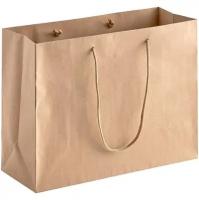 China Recyclable Merchandise Kraft Paper Gift Bags For Boutique Clothing Accessories for sale