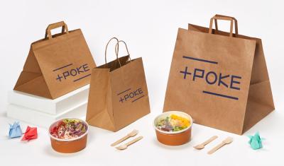 China Sustainable Twisted Handle Small Paper Carry Bags For Retail Grocery Packaging for sale