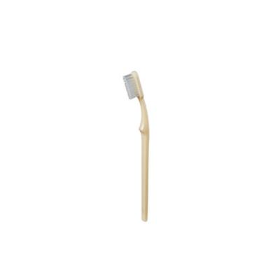 China Toothbrush Ivory Adult Medium for sale