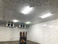 China 300 Square Meters Vegetables and Fruits Walk In Cold Room Manufacturer for sale