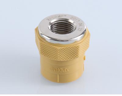China 59 Fine Copper Ppr Female Coupling Inner Tooth Direct Inner Thread for sale