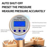 China Portable Double Cylinder 12V Electric Car Tire Inflator with Digital Pressure Monitor for sale