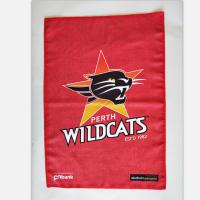 China Custom Microfiber Rally Rags 50x25cm to 30x50cm Size 165gsm to 370gsm Weight for sale