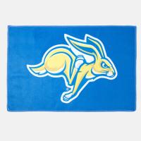China Custom Printed Microfiber Slogan Towels 11x18