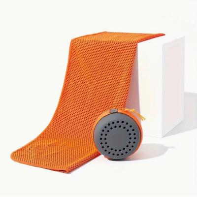 China Ultra-Light 160gsm Microfiber Sport Towel 30x70cm Quick Dry Portable Gym Towel for sale