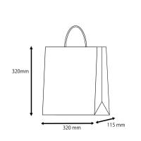 China Glitter Rose Gold Gift Bag White Gloss Custom High-end Ribbon Gift Bag for sale