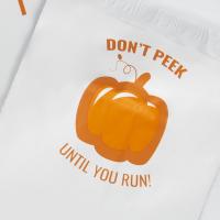 China Colored Poly Mailer Bag / Parcel Post Bags / Factory Plastic Waterproof Custom Poly Mailers Biodegradable Packaging Customized for sale