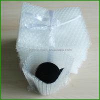 China Inflatable Bubble Bag Bubble Air Film with Transparent Stand up Pouch LDPE Offset Printing Mailing Shock Resistance Accept for sale