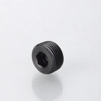 China Hydraulic Tube Fitting BSPT Male Hollow Hex Plug 4tn for Performance and Durability for sale