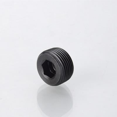 China Hydraulic Tube Fitting BSPT Male Hollow Hex Plug 4tn for Performance and Durability for sale