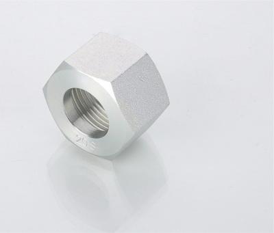 China OEM Retaining Nuts Nl/Ns with Male Connection and Hexagon Head Type Design for sale