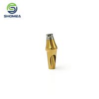 China Customized Dental Angled Abutment For Implant Restoration for sale
