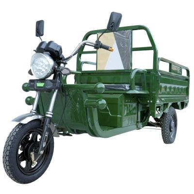 China 2021 High Quality 1000W Cargo Tricycle With Electric Three Wheel Motorcycle Cargo for sale