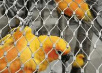 China Zoo Decorative Wire Mesh X Tend Stainless Steel 316L Decorative Metal Grid Panels for sale