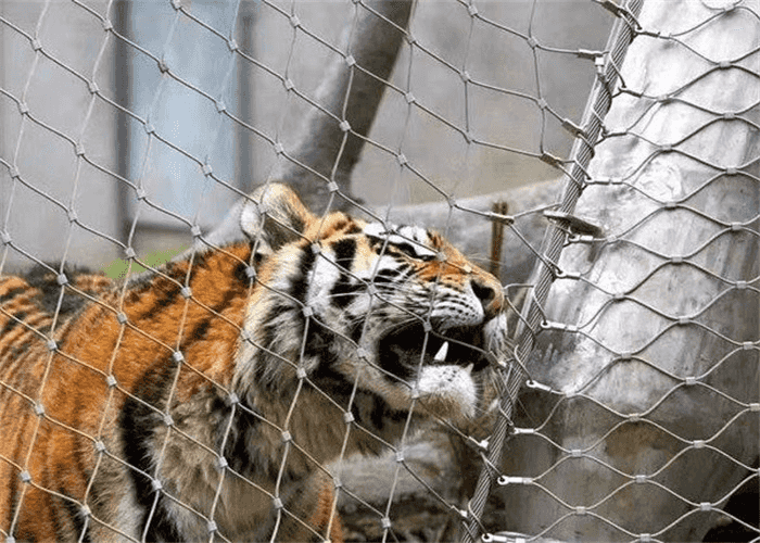 Stainless steel animal fence factory