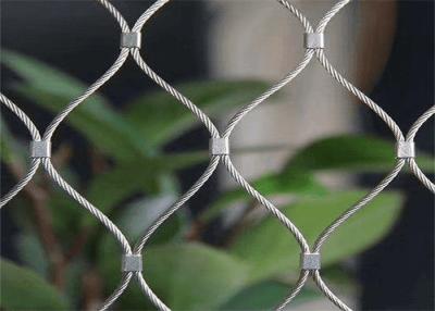 China Special Steel Rhombus Plant Climbing Net , Black Oxide Garden Climbing Mesh for sale