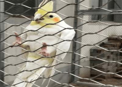 China Alaska 304 Stainless Steel Aviary Mesh Metal Rope Mesh Rustproof High Durability for sale