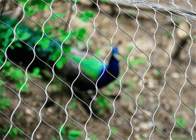 China 7X7 Stainless Steel Aviary Mesh Ferruled Bird Enclosure Netting For Zoo Animal for sale