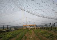 China 7X7 Stainless Steel Aviary Mesh Ferruled Bird Enclosure Netting For Zoo Animal for sale