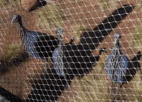 China Flexible Leopard Stainless Steel Aviary Mesh Bird Safe Wire Mesh 7×19 for sale